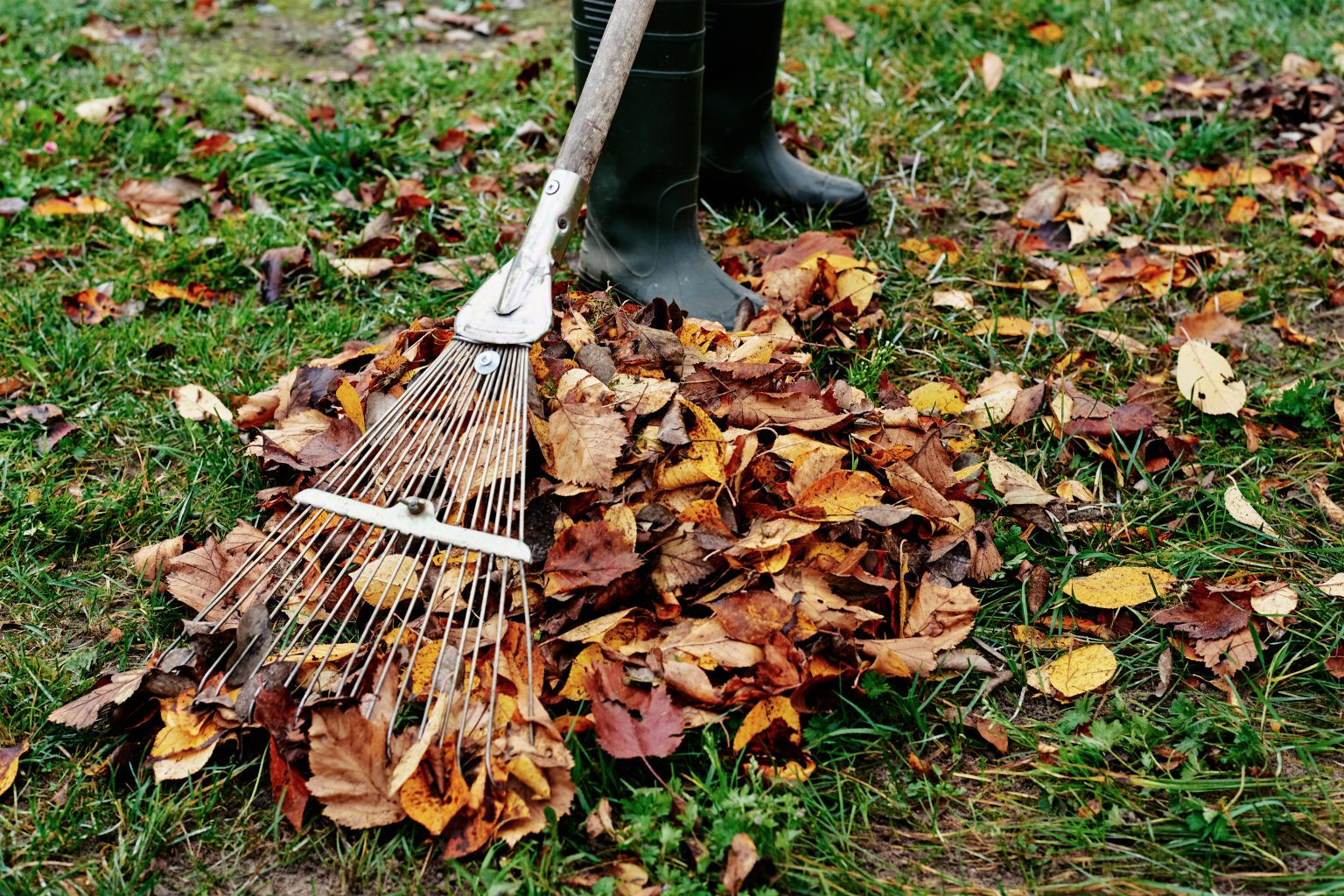 Seasonal Landscaping Services | Turf Connection – Harford & Baltimore ...